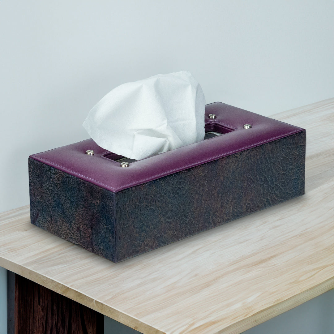 Kleenera Chica Andromeda